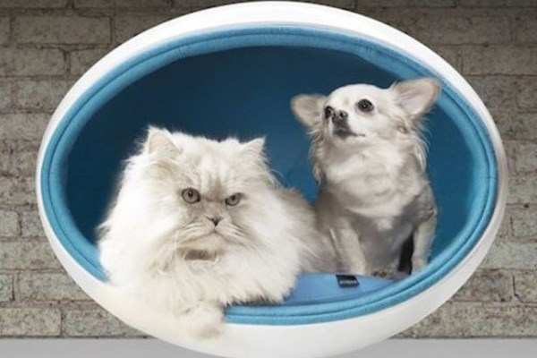 Designer Padpod Pet Beds From Bark & Miao